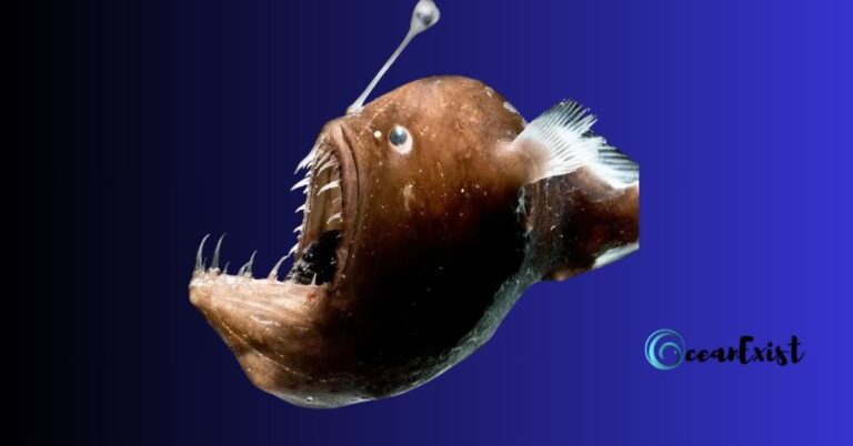 25 Ugly Fish With Images, Edible Status, And More